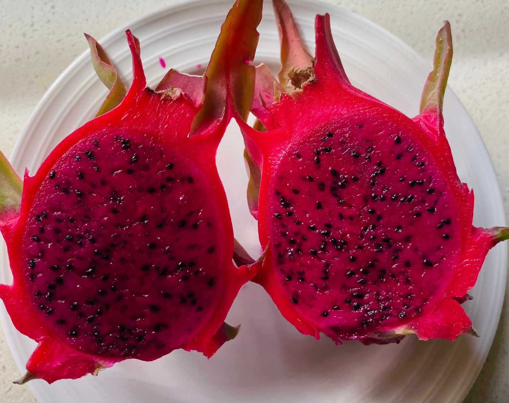 Red Dragon fruit Plant – Jungle Story